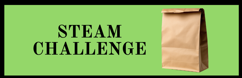 #53: STEAM Challenge: Mystery Bag | Westside Excellence in Youth